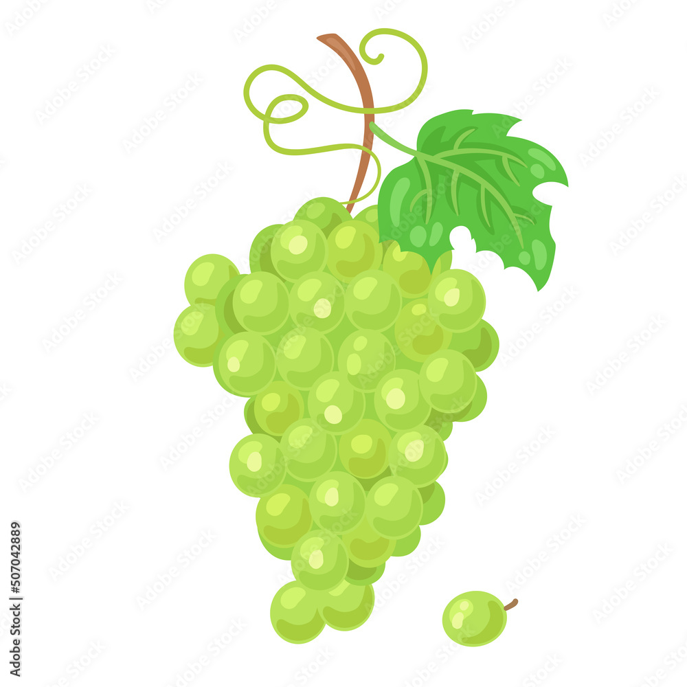 Big bunch of green grapes. In cartoon style. Isolated on white ...