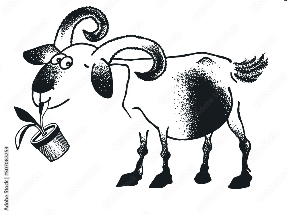 Cartoon sketch. Funny mischievous goat chewing a flower in a pot ...