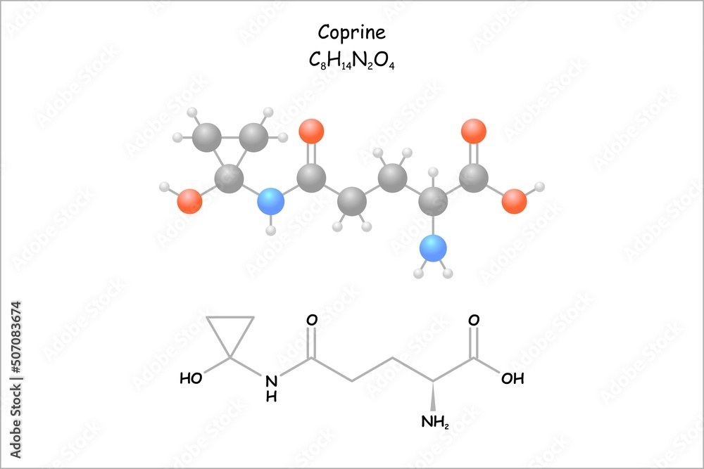 Stylized molecule model/structural formula of coprine. Mykotoxin of the ...