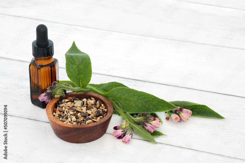 Foto de Comfrey herb leaf and root used in herbal plant medicine for ...