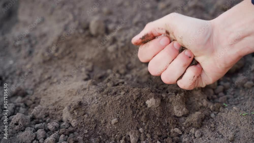 A hand checks the soil for moisture close-up. Analysis of the state of ...