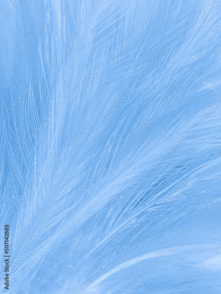 Beautiful abstract blue feathers on white background, white feather ...