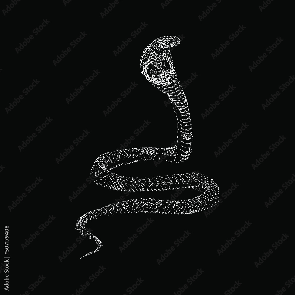 Indian Cobra hand drawing vector illustration isolated on black ...