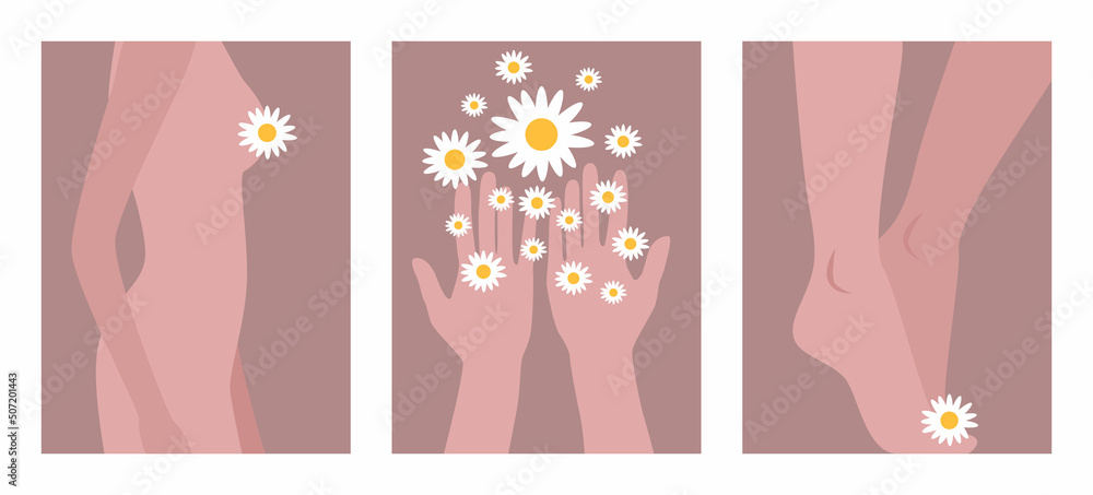 Parts of a beautiful female body. Body, arms, legs with daisies. A ...