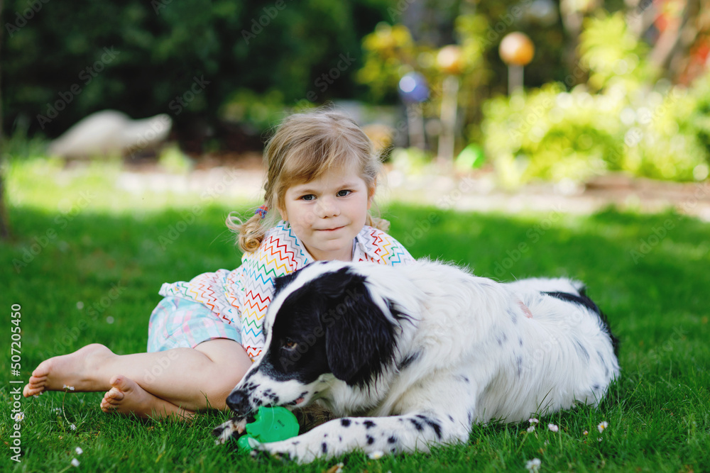 Cute little toddler girl playing with family dog in garden. Happy ...