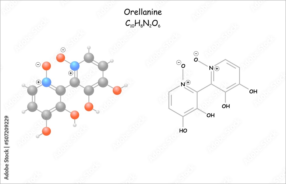 Vetor de Stylized molecule model/structural formula of orellanine ...