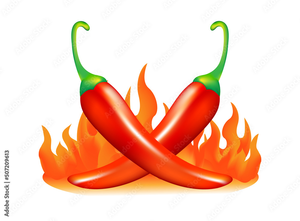 Chili With Fire Logo Design Vector. Hot burning fire flame and red ...