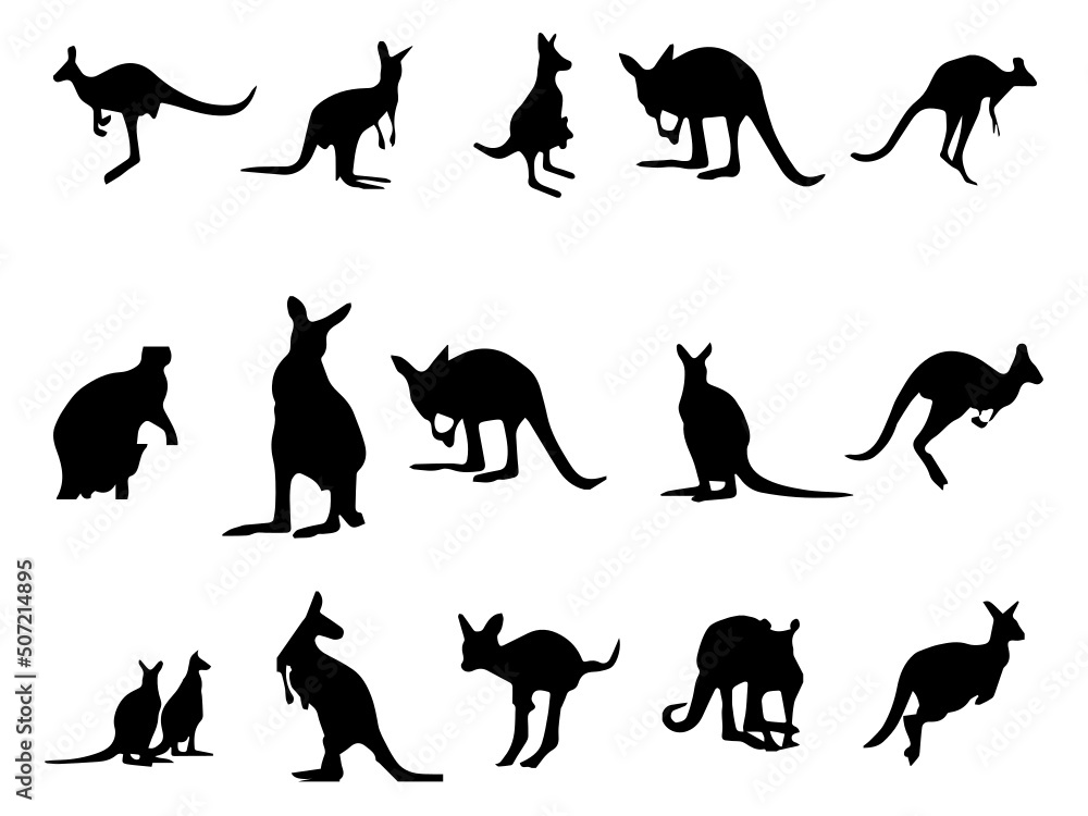 Black kangaroo Royalty Free Vector Image. Kangaroo Black kangaroo ...