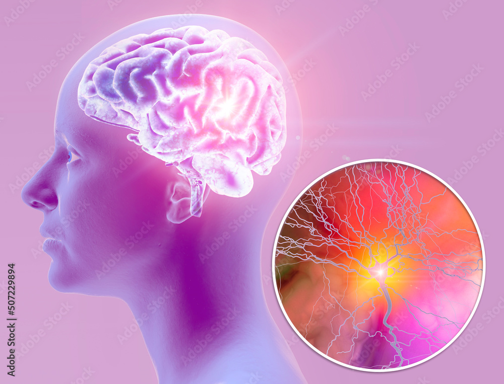 Synapse connections. Structure that permits a neuron (or nerve cell) to ...