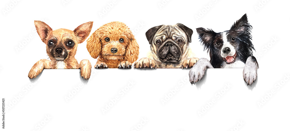 watercolor Shihuahua, Poodle, Pug and border collie with blank board ...