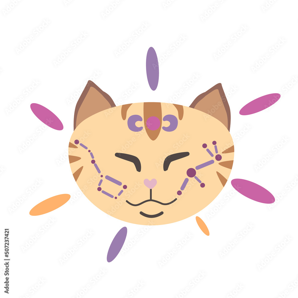Vector illustration of the face of a magical cat with the image of ...