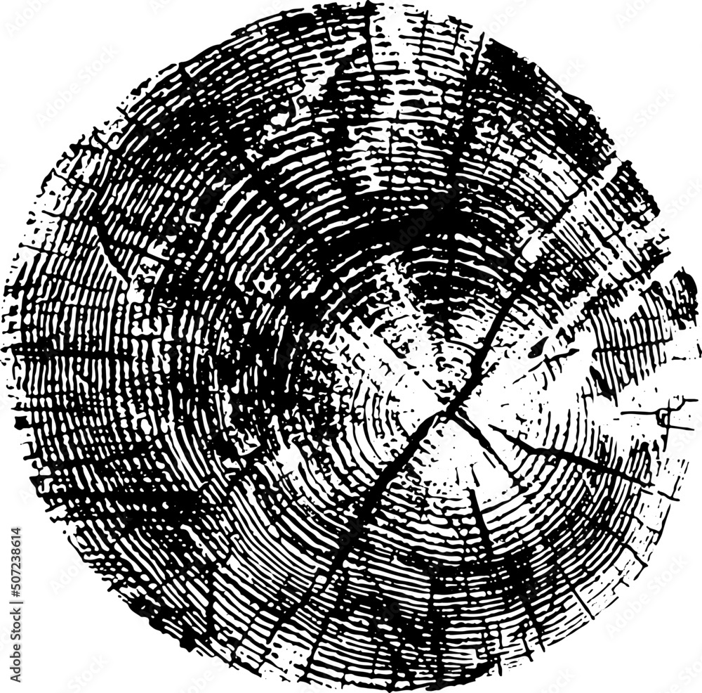 tree stump texture with a transparent background Stock Illustration ...