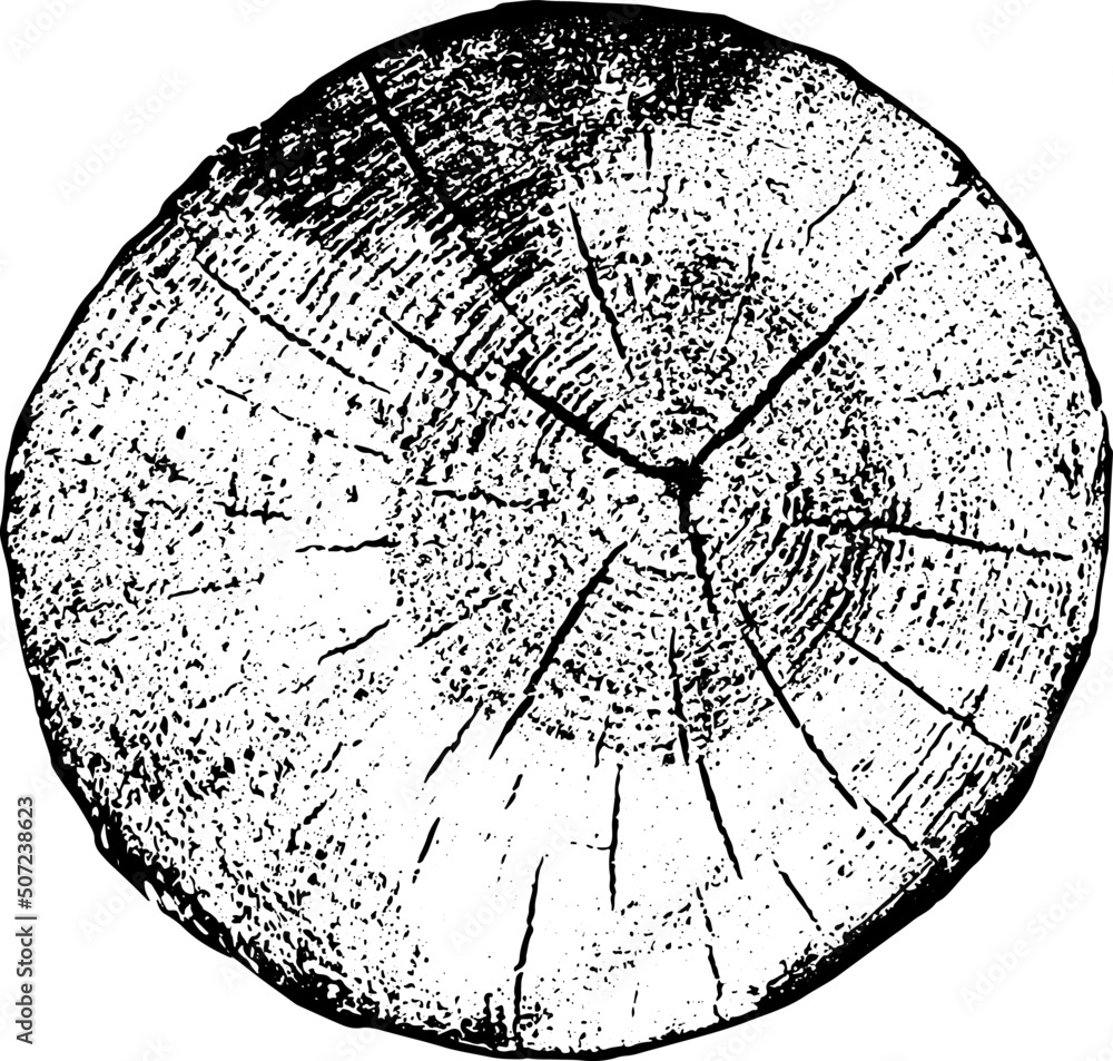 tree stump texture with a transparent background Stock Illustration ...