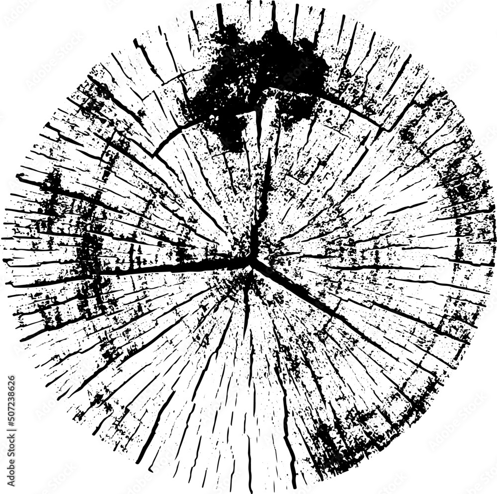tree stump texture with a transparent background Stock Illustration ...