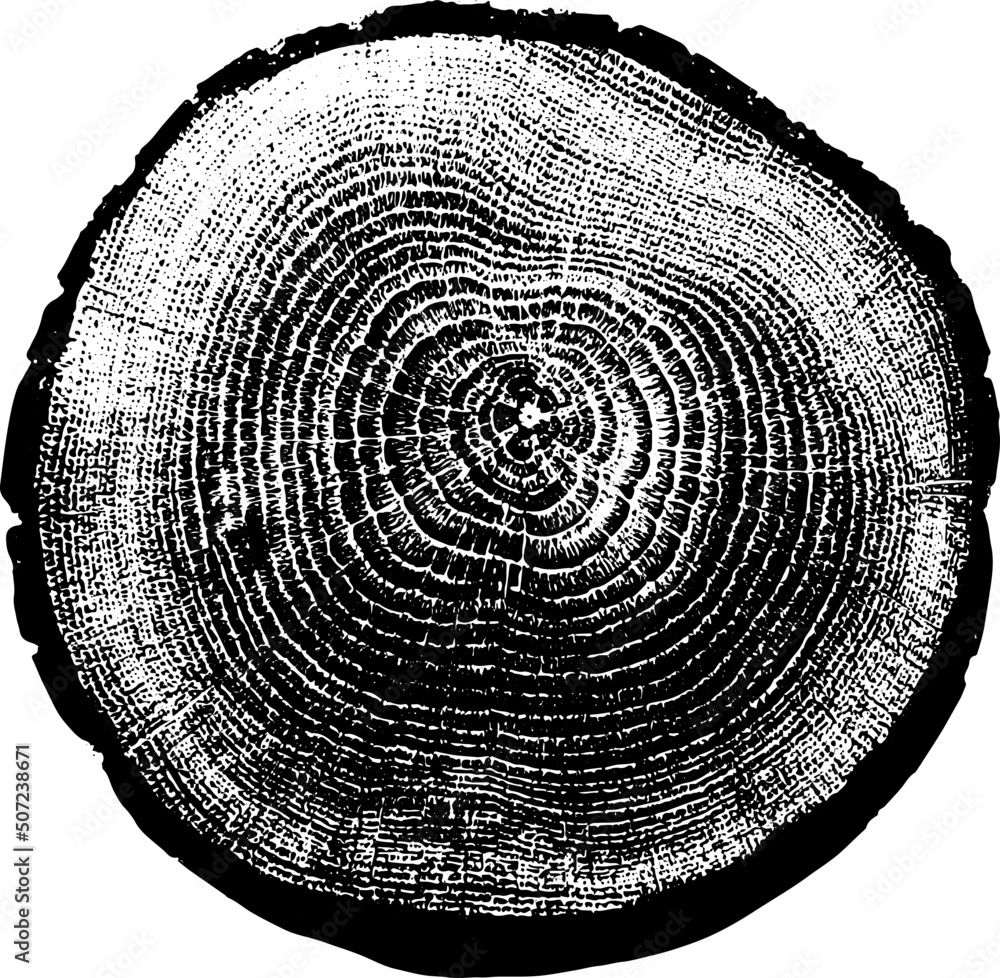 tree stump texture with a transparent background Stock Illustration ...