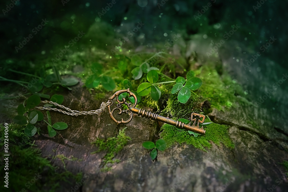 vintage key on natural dark green background, mysterious forest ...