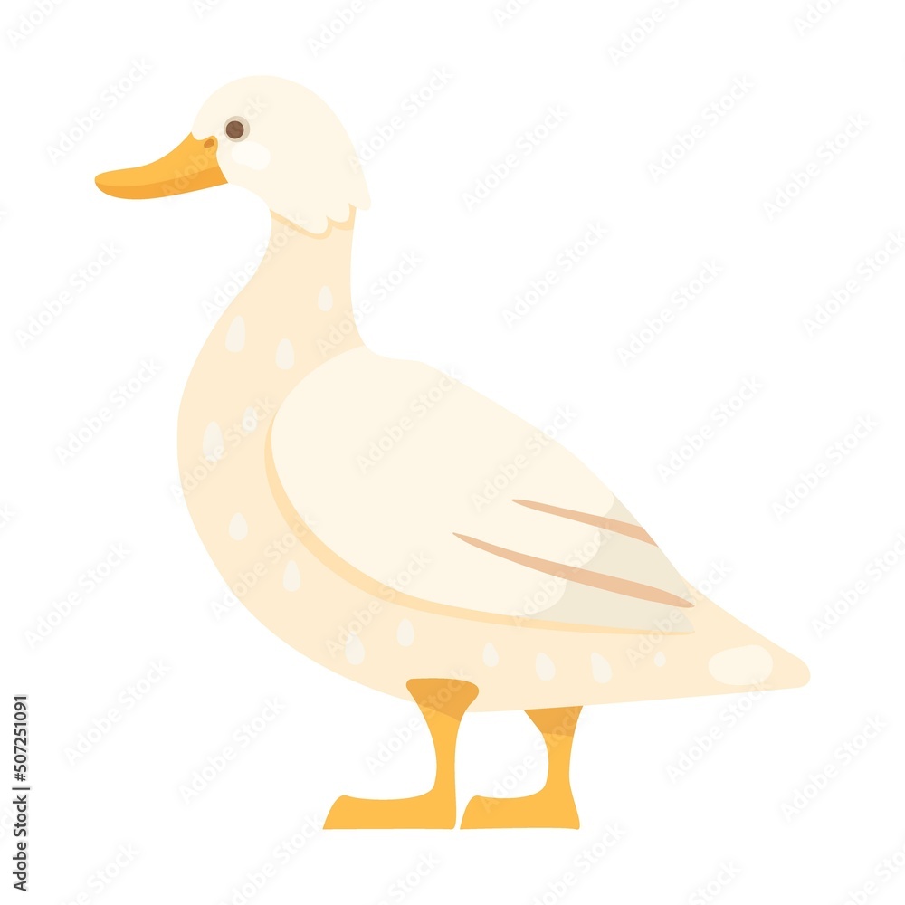 Domestic white duck. Different farm birds cartoon illustration isolated ...