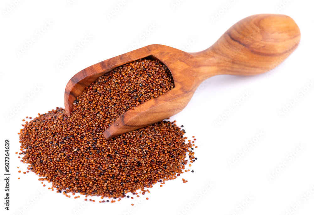 Canihua grains isolated on white background. Pile of qaniwa in olive ...
