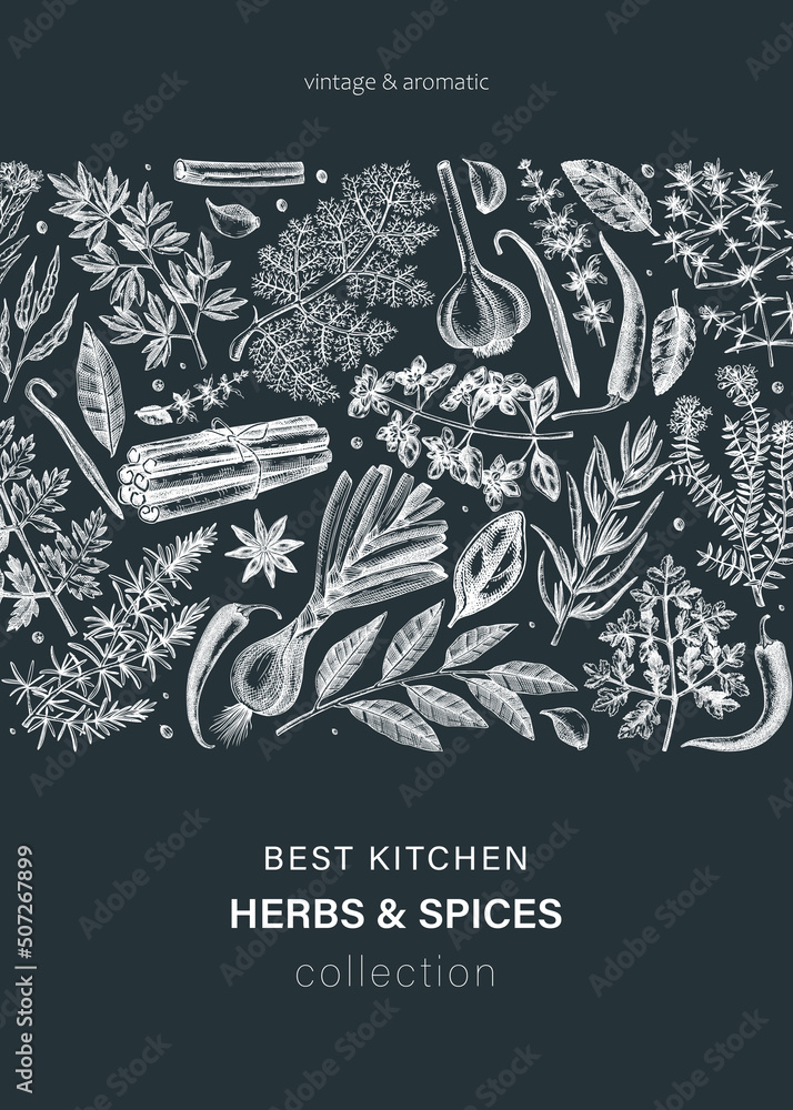 Hand-drawn herbs and spices vector card on chalkboard. Hand-sketched ...