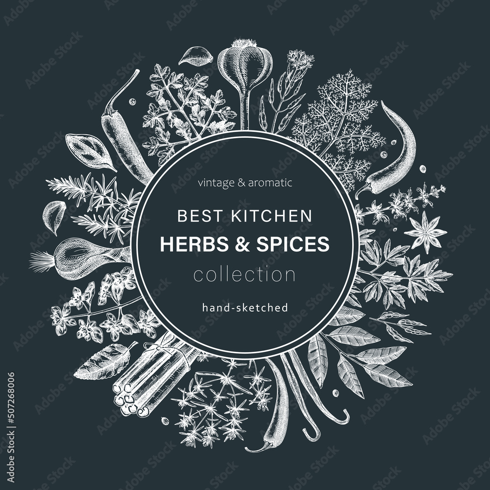 Hand-drawn herbs and spices round design. Hand-sketched food wreath on ...