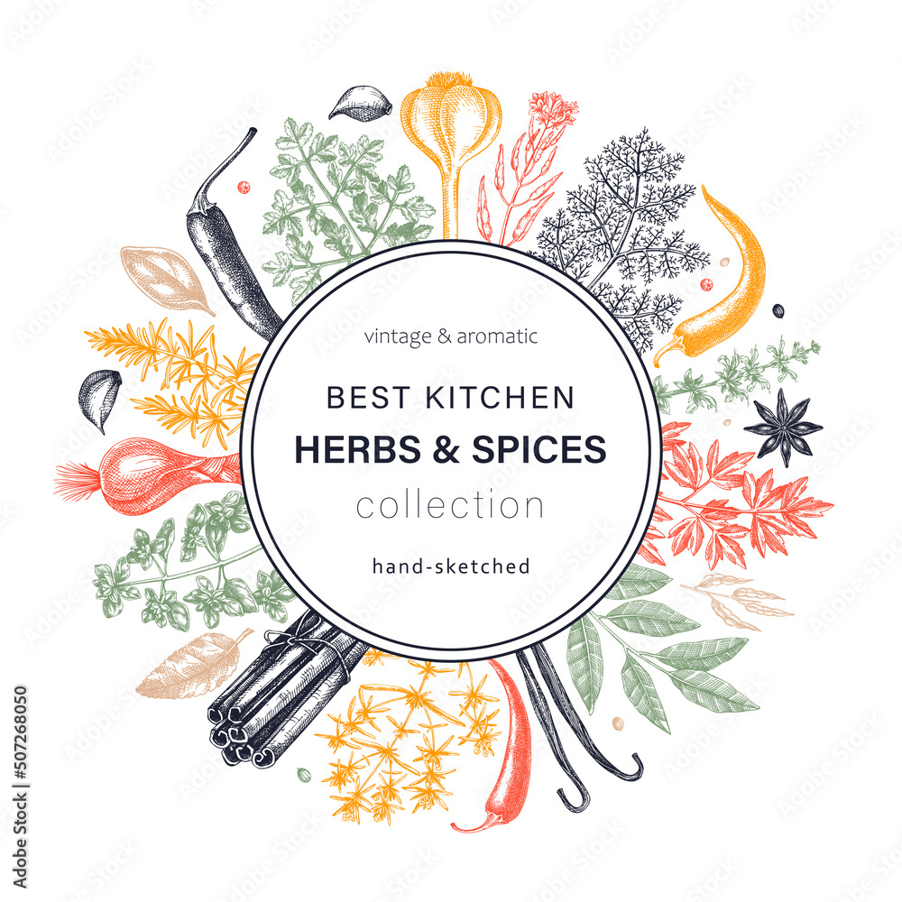Hand-drawn herbs and spices round design. Hand-sketched food wreath in ...