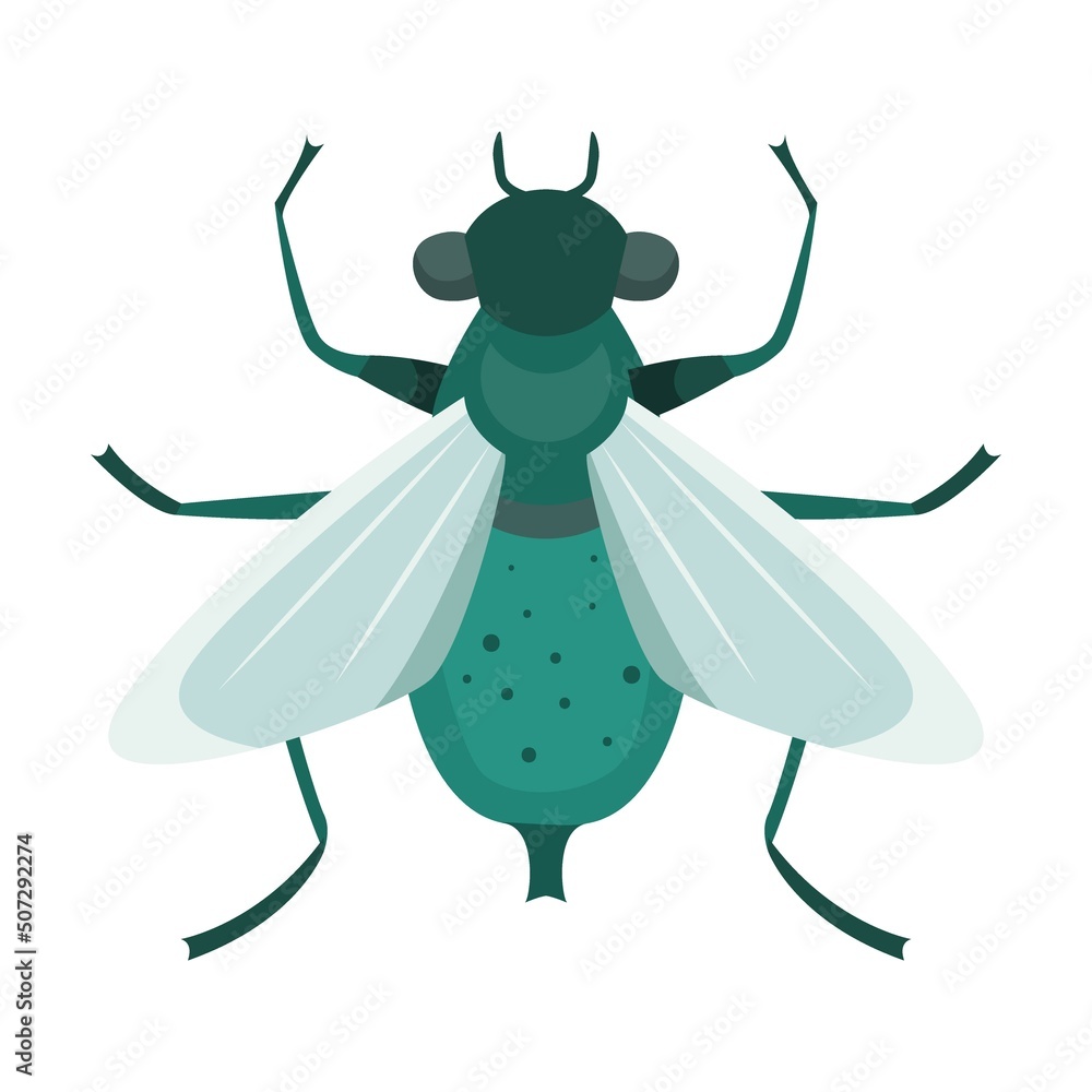 Gray harmful fly insects flat vector illustration. Poison and equipment ...