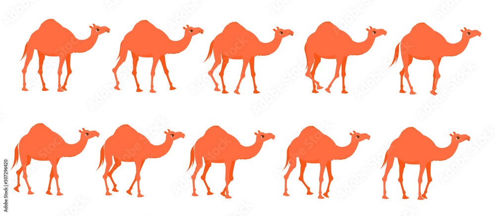 Camel Animation. Sequences for Motion Design. Stock Vector | Adobe Stock