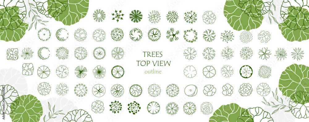 Tree for architectural floor plans. Entourage design. Various trees ...