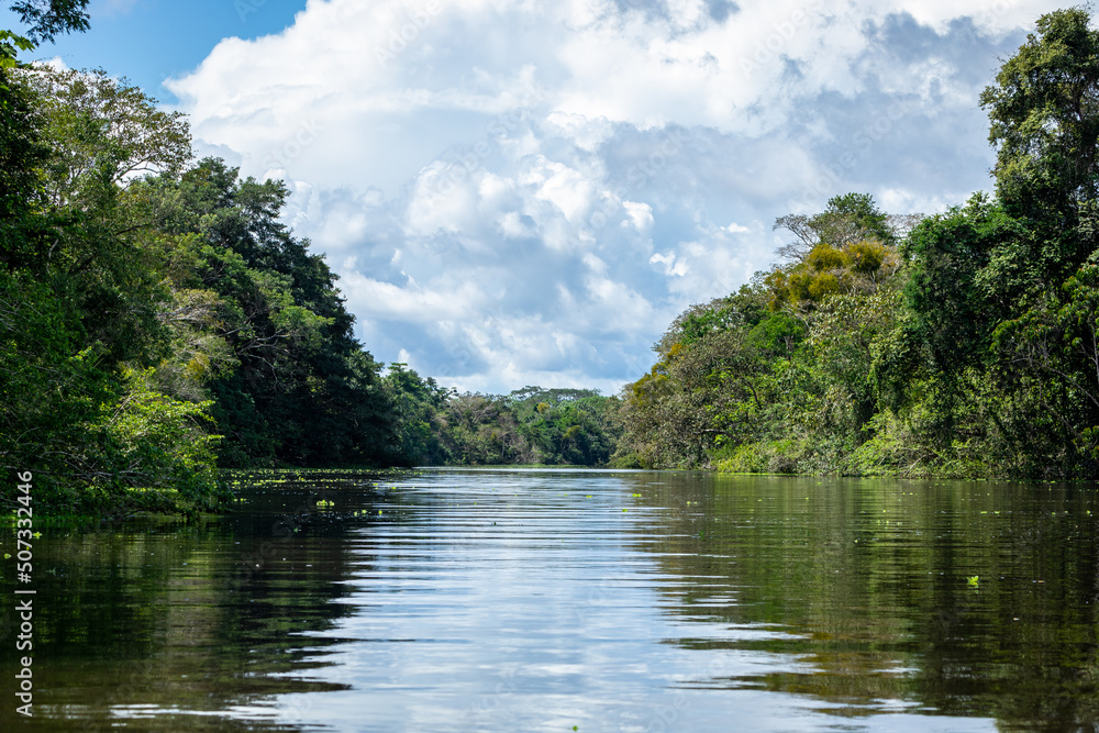 Amazon Rainforest Riverbank. Sailing down river Yanayacu at the Amazon ...