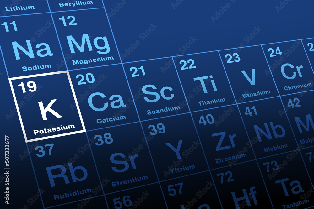 Potassium on periodic table of the elements. Alkali metal with symbol K ...