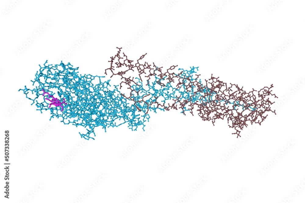 Molecular model of influenza virus hemagglutinin isolated on white ...