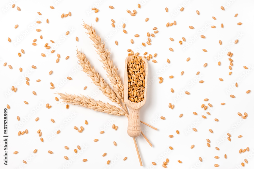 Wheat grain in wooden scoop, bundle of wheat spikes and scattered ...