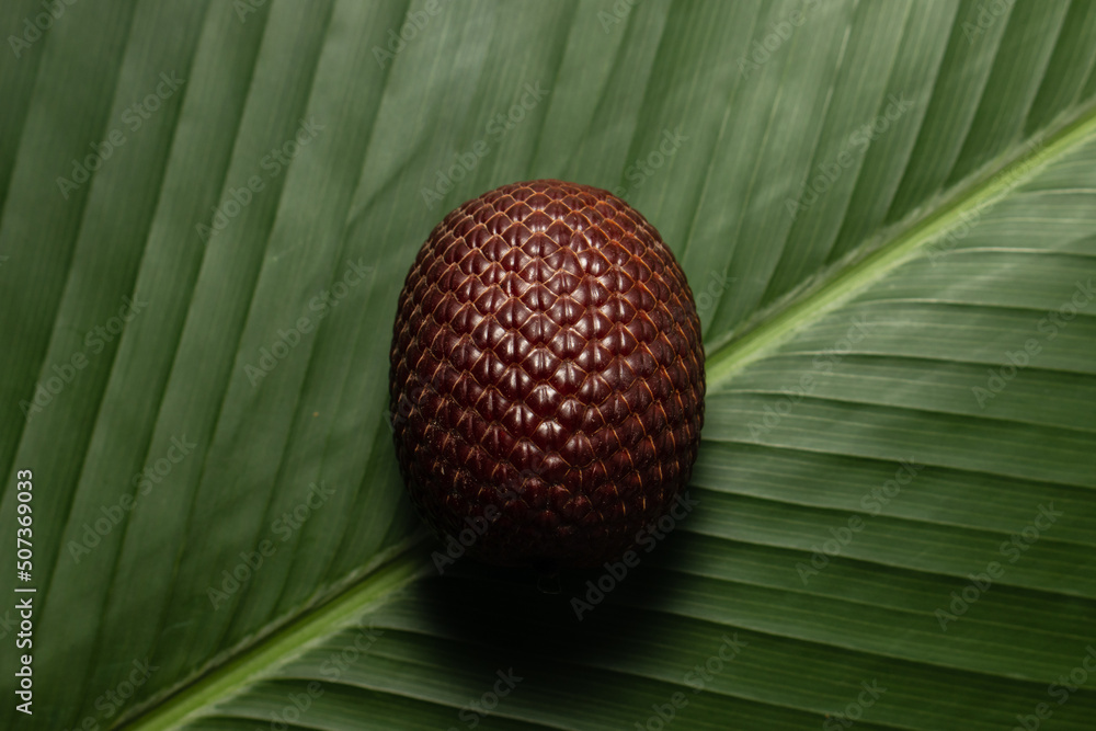 Aguaje is a highly appreciated fruit in the Amazon for its flavor and ...