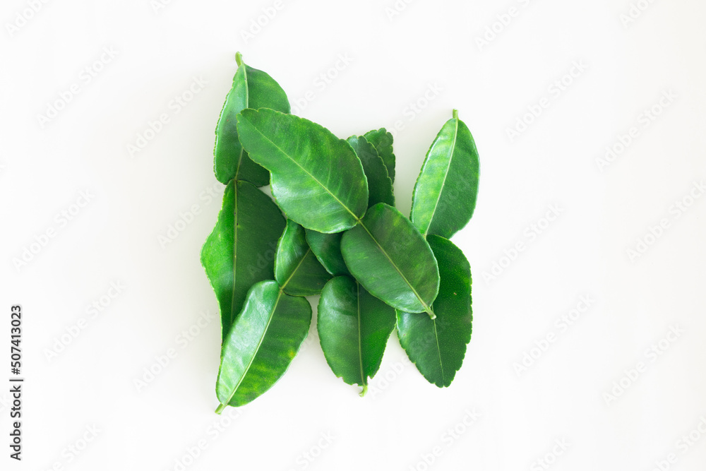 Fresh Green Kaffir Lime Leaves isolated on White Background, ingradient ...