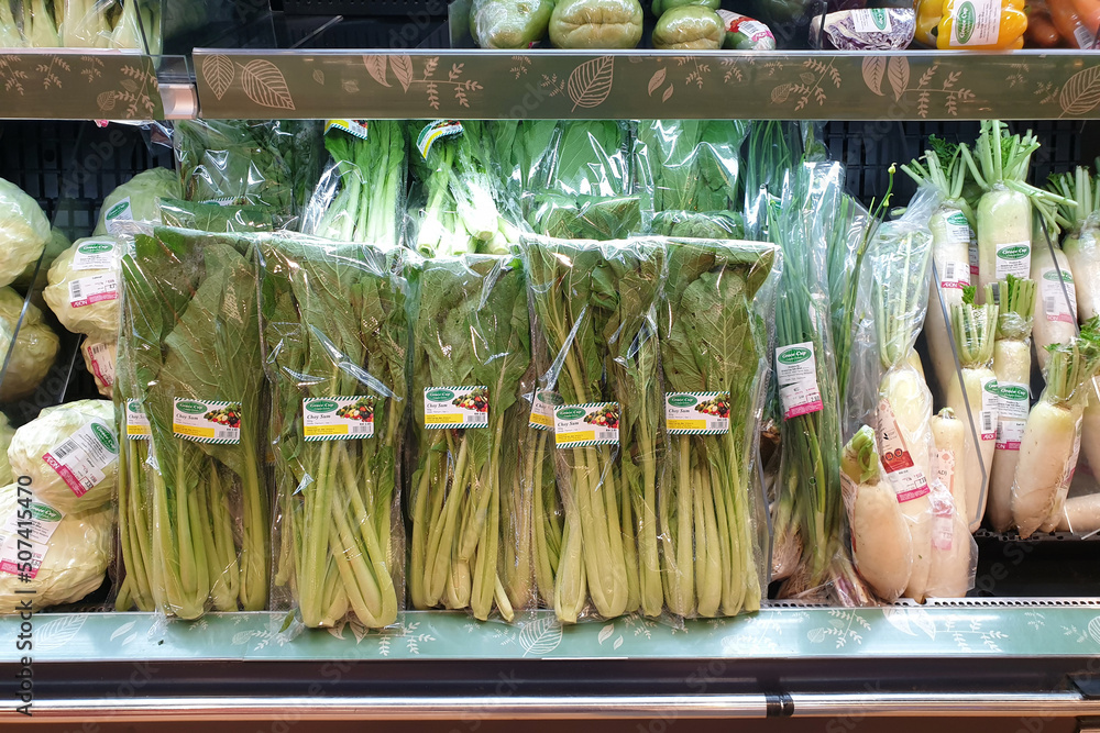 PENANG, MALAYSIA - 27 JAN 2022: Interior view of the huge refrigerator ...