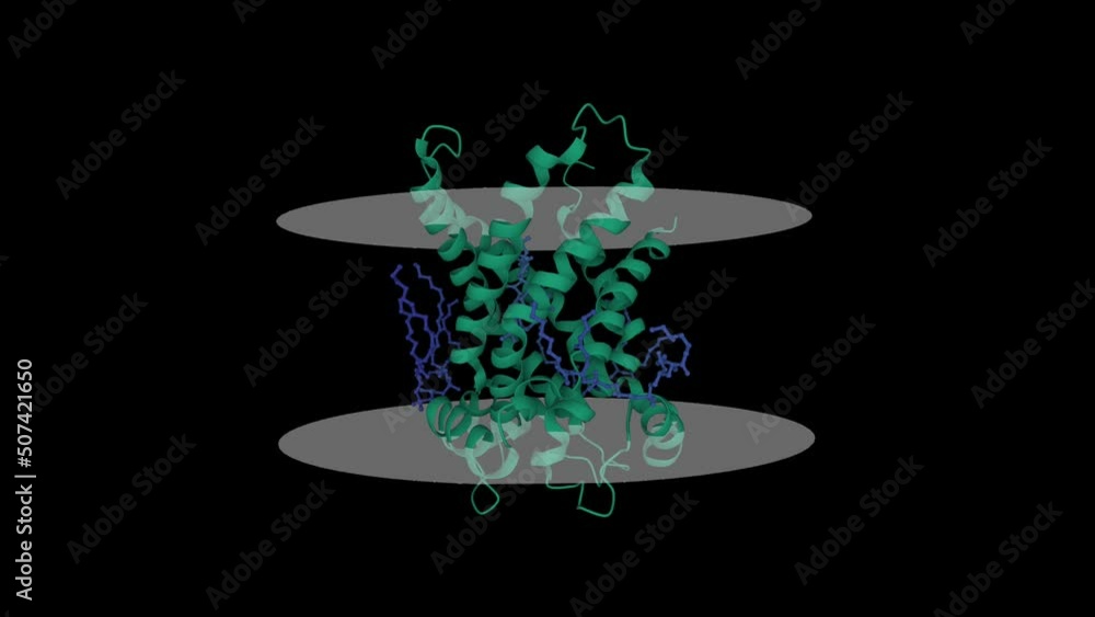 Vidéo Stock Structure of the bovine mitochondrial ADP-ATP carrier ...