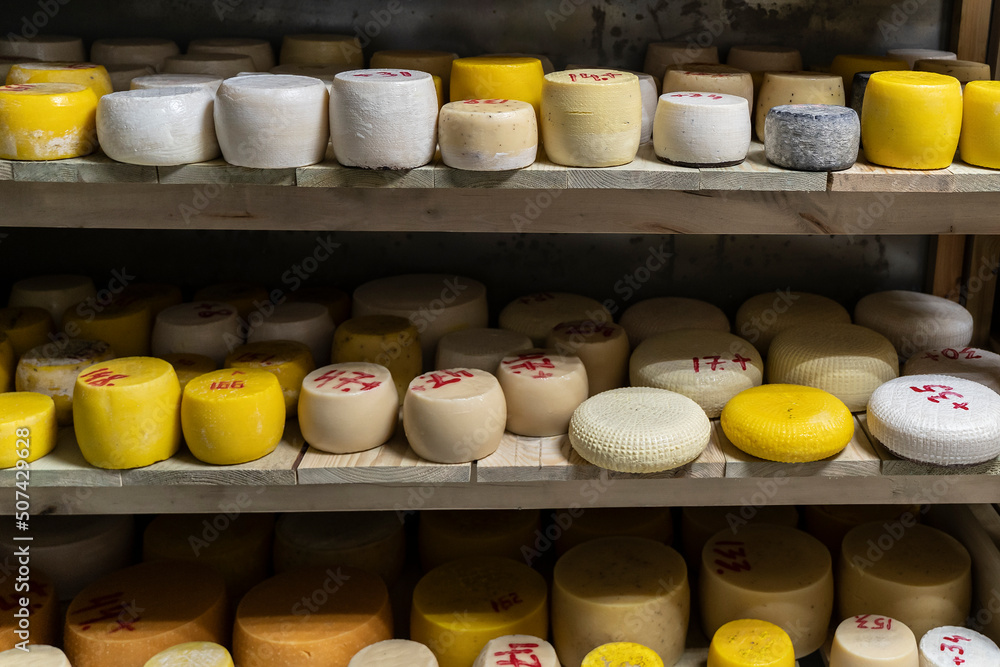 Farm cheese production. Cheese of different varieties on the shelves in ...