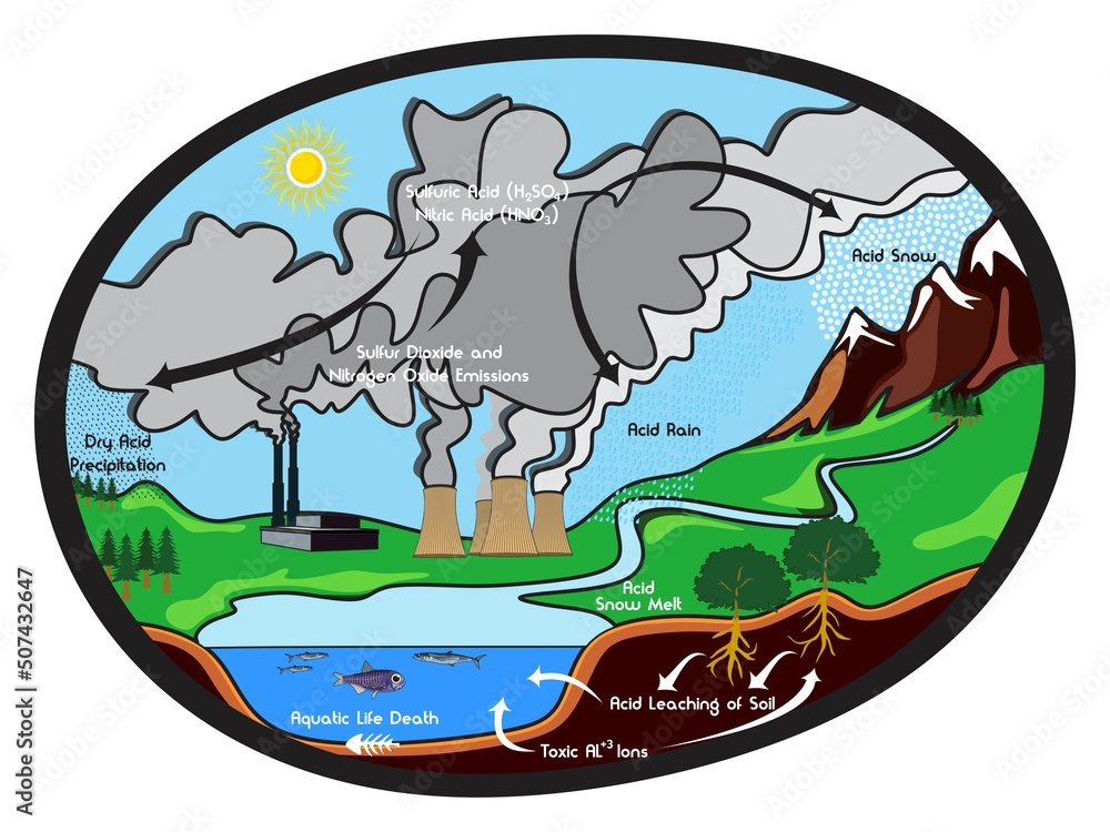 Acid rain infographic diagram air water pollution concept factory ...