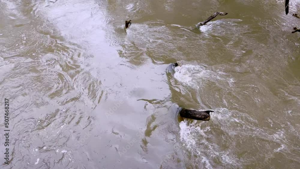 Vidéo Stock View upstream of a river in full flood with discoloured ...
