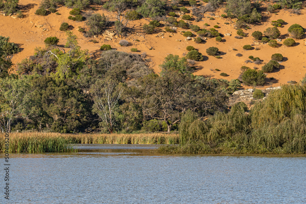 The Murray River in South Australia has many pristine environments ...