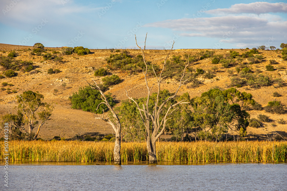 The Murray River in South Australia has many pristine environments ...