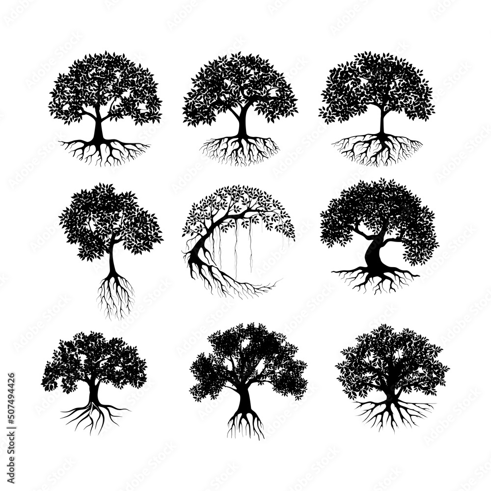 Collection mangrove tree vector silhouette, black and white colors ... Collection mangrove tree vector silhouette, black and white colors ...