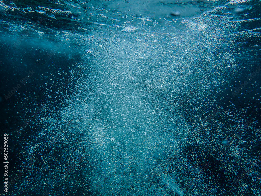 Real Underwater Ocean Pictures