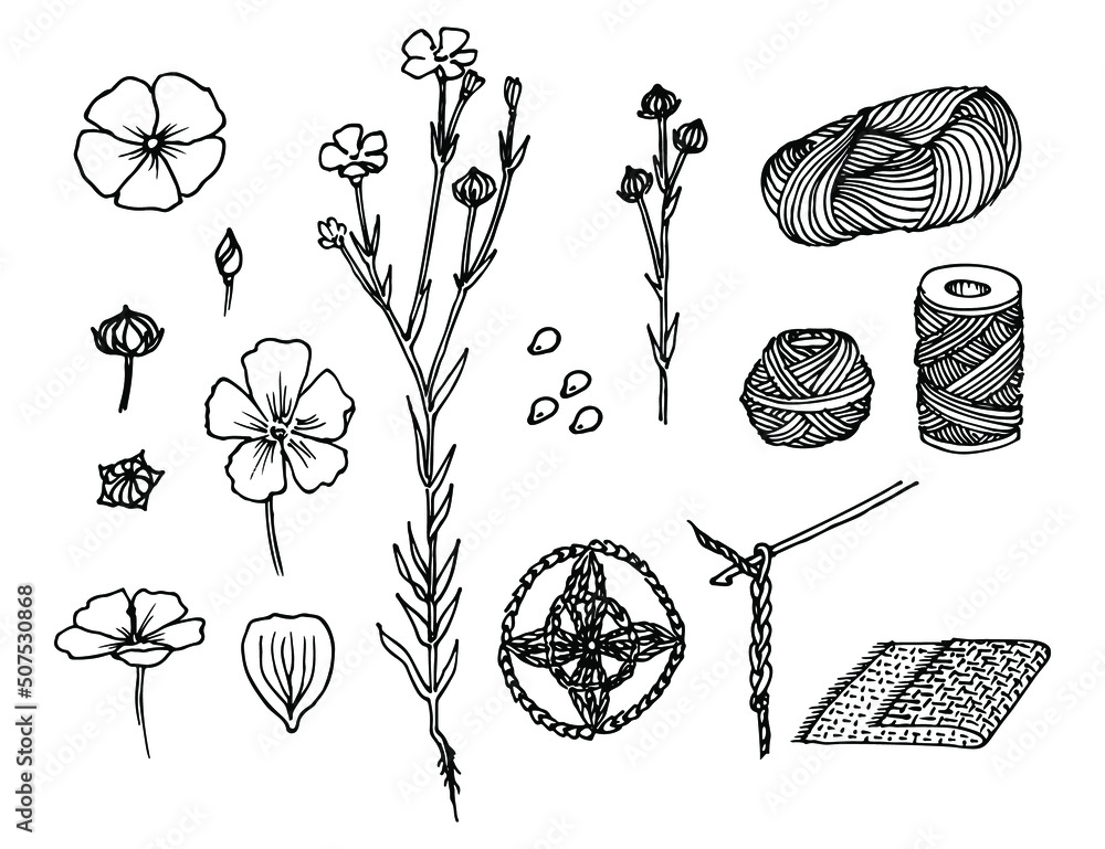 Flax flower. Linen plant, seeds, fabric and threads element set sketch ...