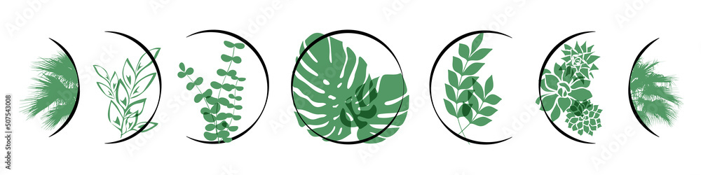 Leaves moon phase decor on white. Plant moon bedroom wall art. Green tropical leaf moon phase ...