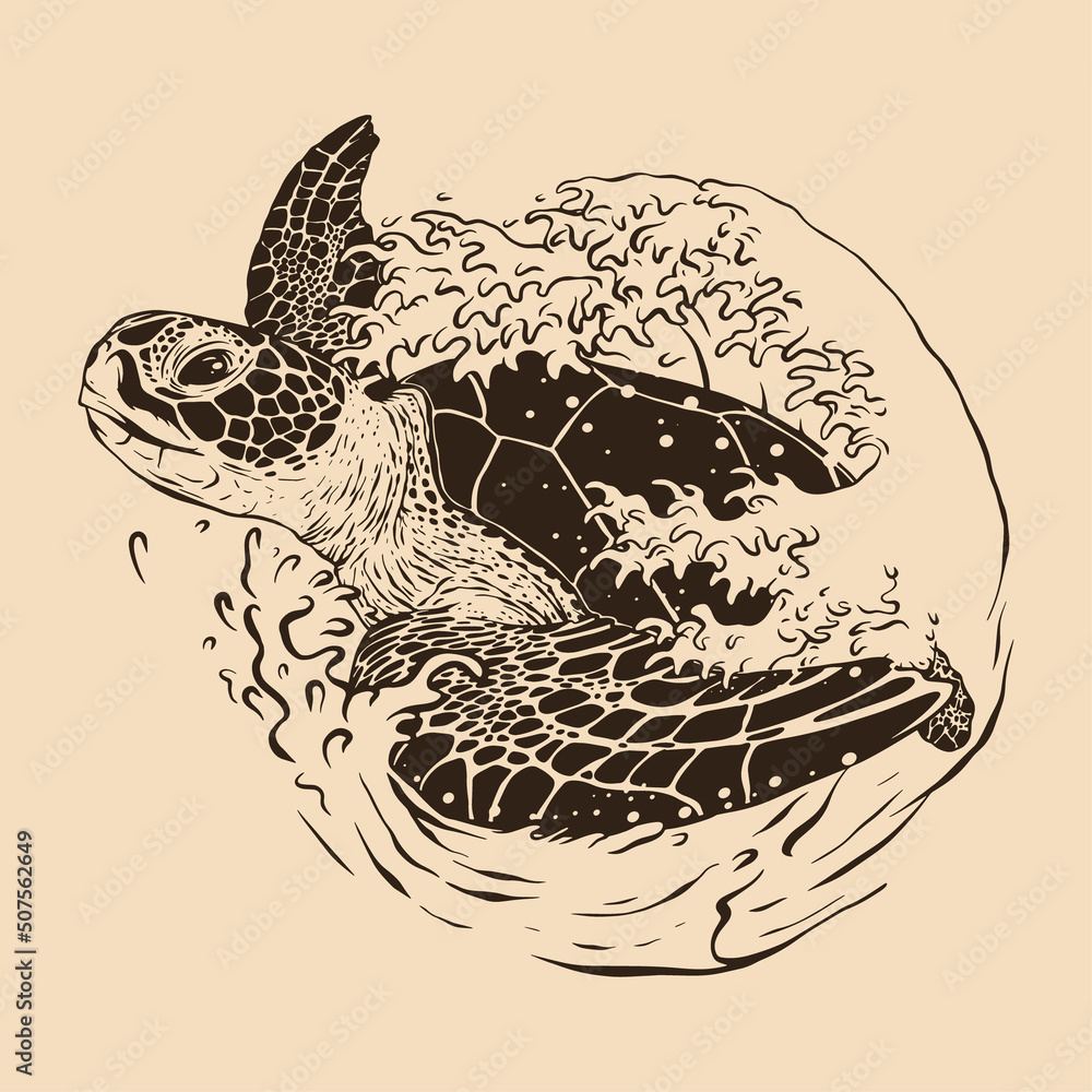 Sea turtle waves sketch illustration drawing vector Stock Vector ...