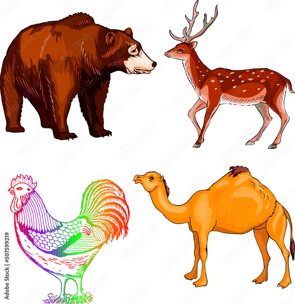 animal vector drawing, realistic art file Stock Vector | Adobe Stock