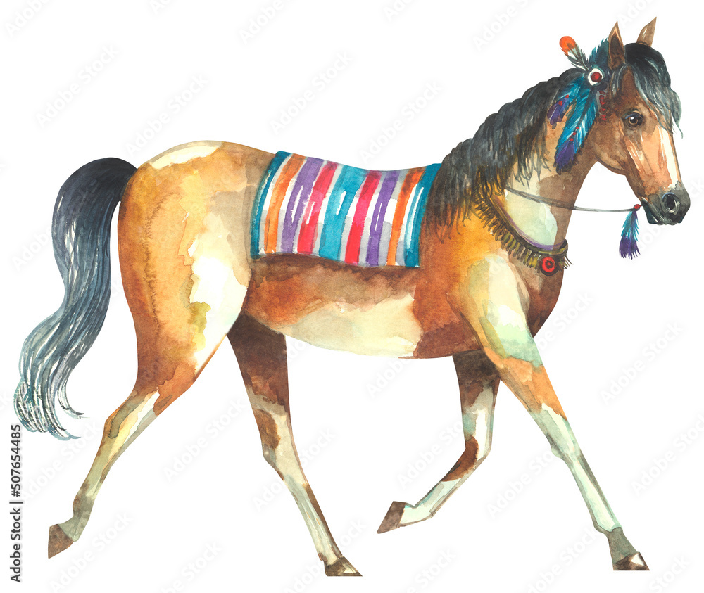 Native American Indian horse Stock Illustration | Adobe Stock