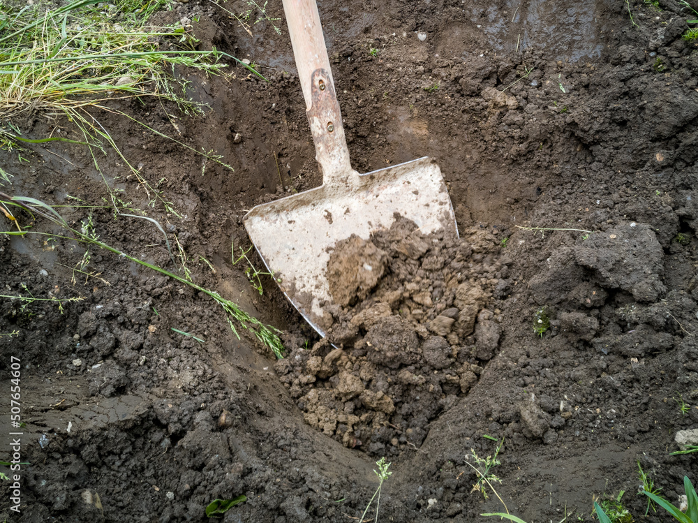 Eine Schaufel im Erdreich. Gartenarbeit, Natur, Nahaufnahme. Stock ...