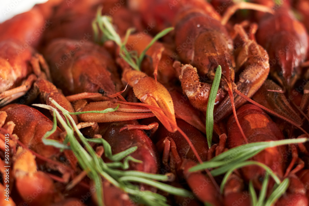 Boiled crayfish with rosemary. Boiled crayfish on the counter for sale ...